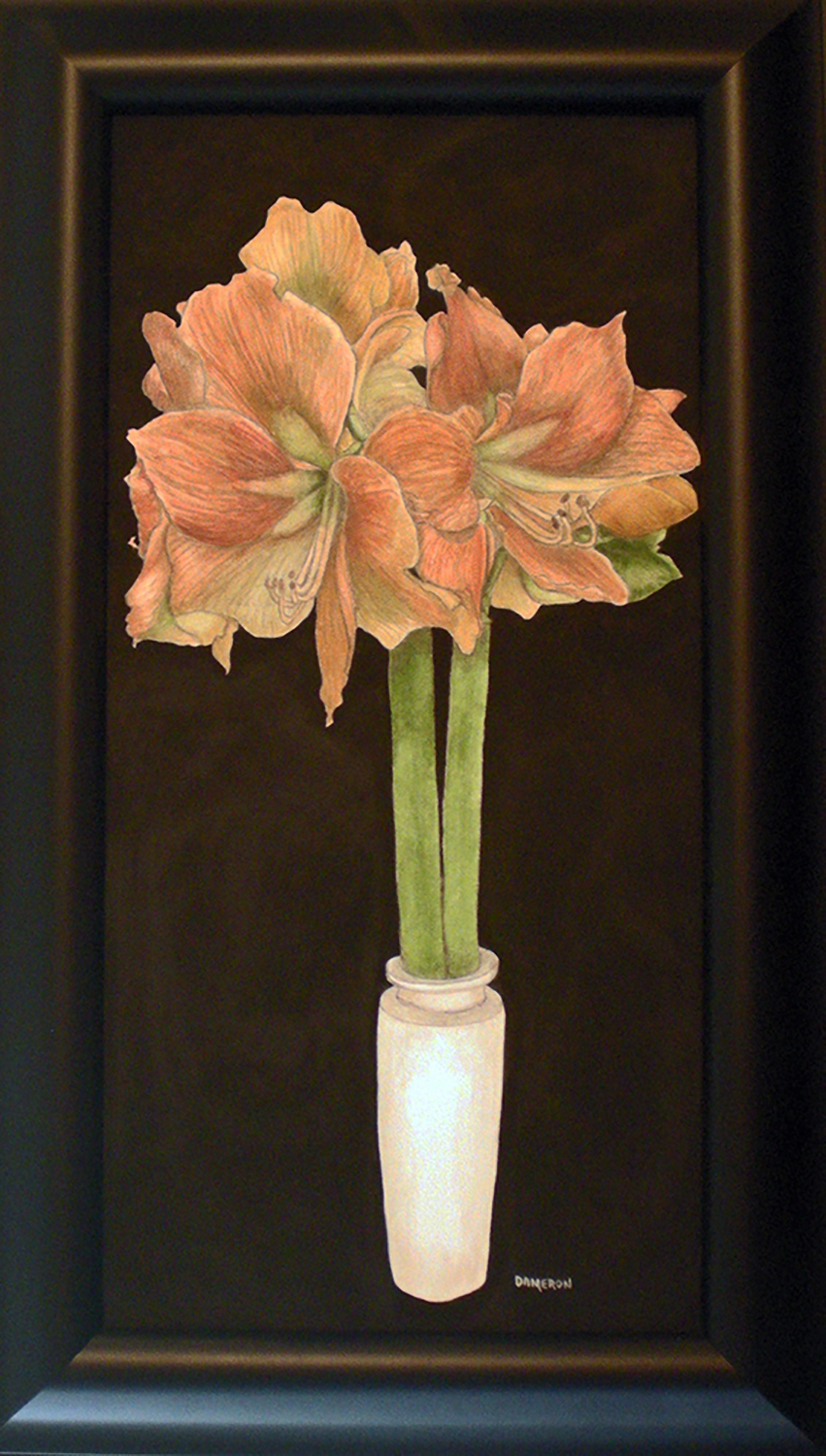 Amaryllis II - Tricia's Treasures