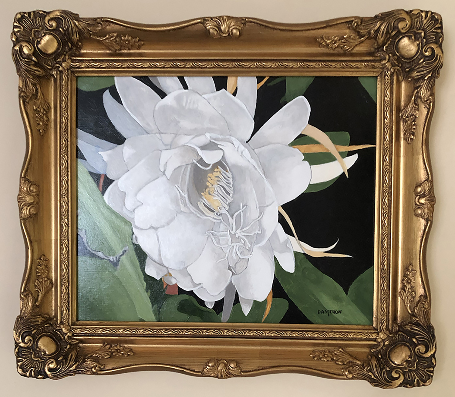 Cereus Plant - Tricia's Treasures